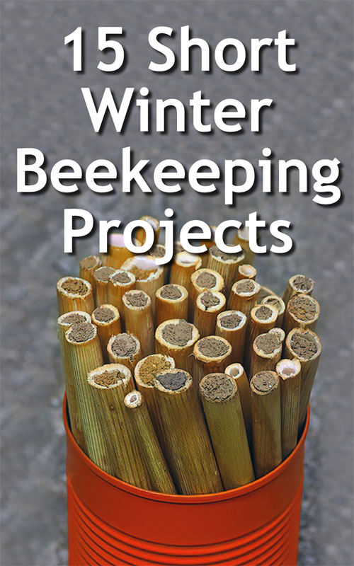 15 Easy Beekeeping Projects for Quiet Days - Backyard Beekeeping